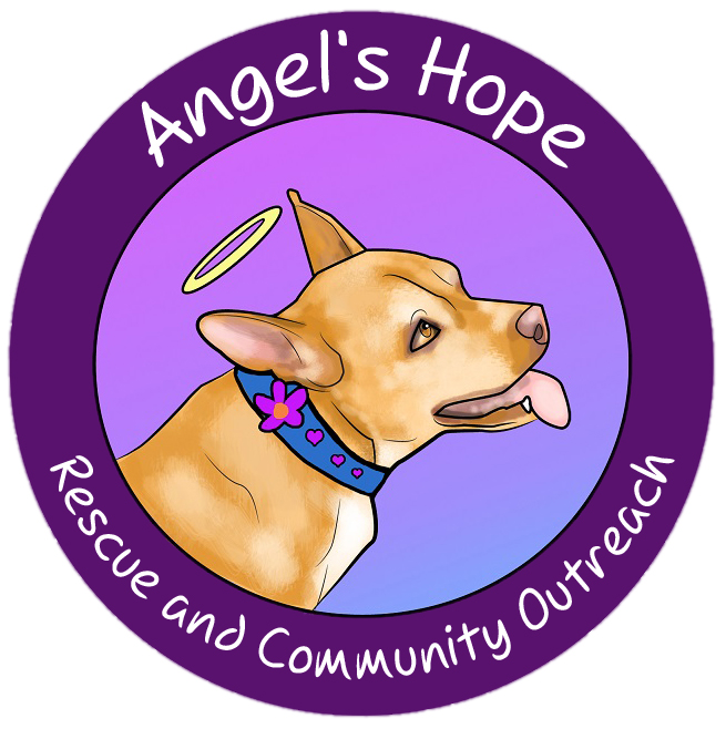 Mission « Angel's Hope